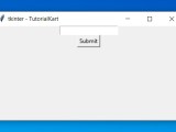 Python Tkinter Entry Examples