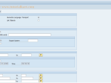 Slxt Sap Tcode Translation Transport
