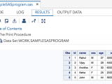 Writing Our First Sample Sas Program