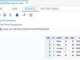 Writing Our First Sample Sas Program
