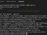 Install Express Js Using Npm