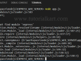 Install Express Js Using Npm