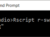 R Switch Statement