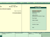Tally Payroll Tutorial Tally Payroll Accounting Training Tutorials
