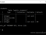 Postgresql Psql Shell Commands