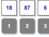 C Array