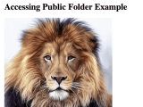 React How To Access Public Folder Example 1