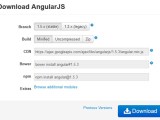 Angularjs Environment Setup