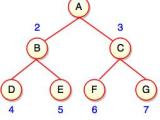 Binary Tree In Data Structure