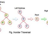 Binary Tree In Data Structure