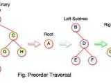 Binary Tree In Data Structure