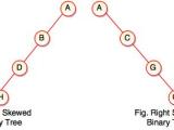 Types Of Binary Tree