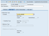 Sap Abap Data Elements