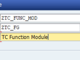 Sap Abap Function Modules