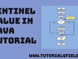 Sentinel Value Java With Examples Sentinel Loop Java