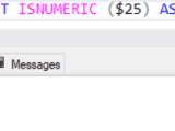Sql Server Isnumeric Function