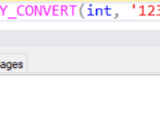 Sql Server Try Convert Function