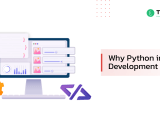 Beginner S Guide Python For Web Development