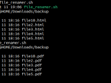 Creating A Bash Script For Batch Renaming Files Based On Metadata