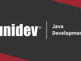 Custom Java Development Company Unidev