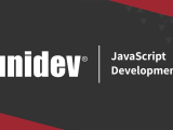 Javascript Development Company Unidev