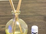 25 Homemade Diy Reed Diffuser Designs For Fresh Scents