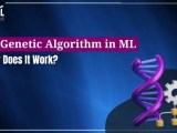 What Is Genetic Algorithm In Ml And How Does It Work Upskill Campus
