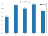 Matplotlib Plot Bar Charts And Their Options Bar Barh Bar Label