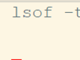 Linux Lsof Tutorial For Beginners With Examples