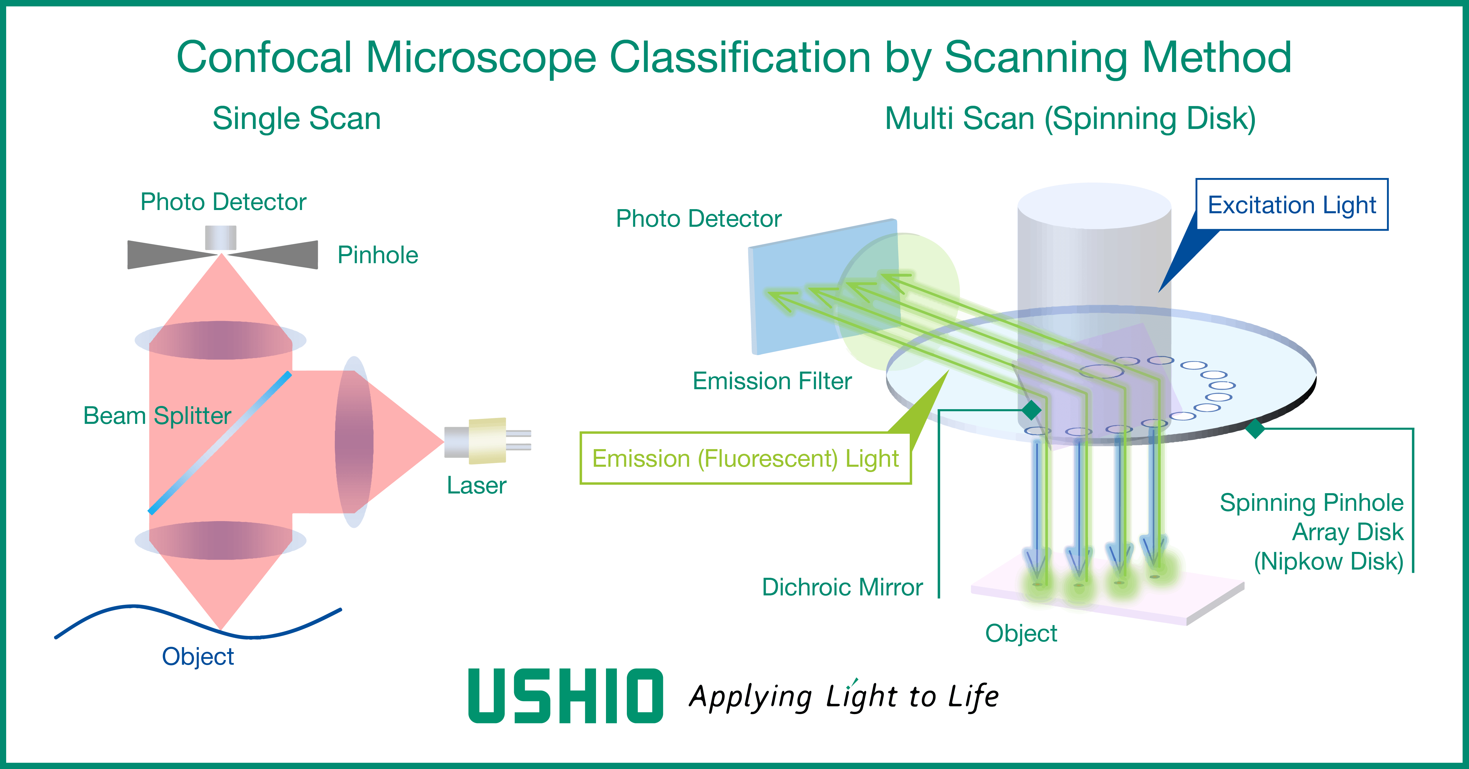 High Resolution Confocal Laser Scanning Microscopy | Ushio America, Inc.