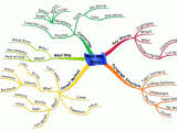 Mind Map Notes