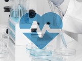 Renal Kidney Function Panel Uslabtesting Uslabtesting