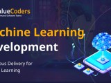 Machine Learning Development Services In India Valuecoders邃