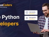 Hire Python Developers In India Dedicated Experts Valuecoders邃