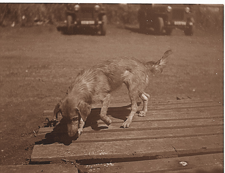 13/01/2015 – Maiden on the Midway