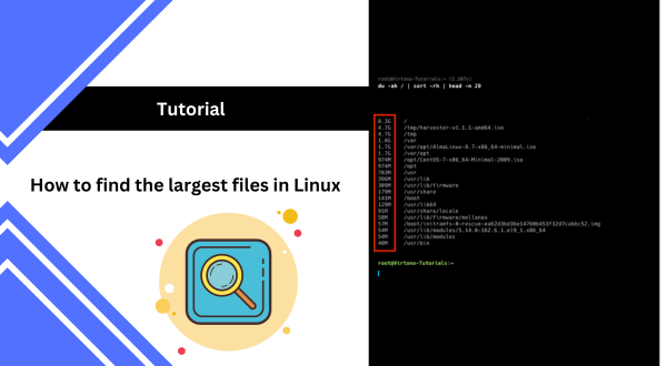 How To Find The Largest Files In Linux Virtono Community how-to-find-the-largest-files-in-linux-virtono-community