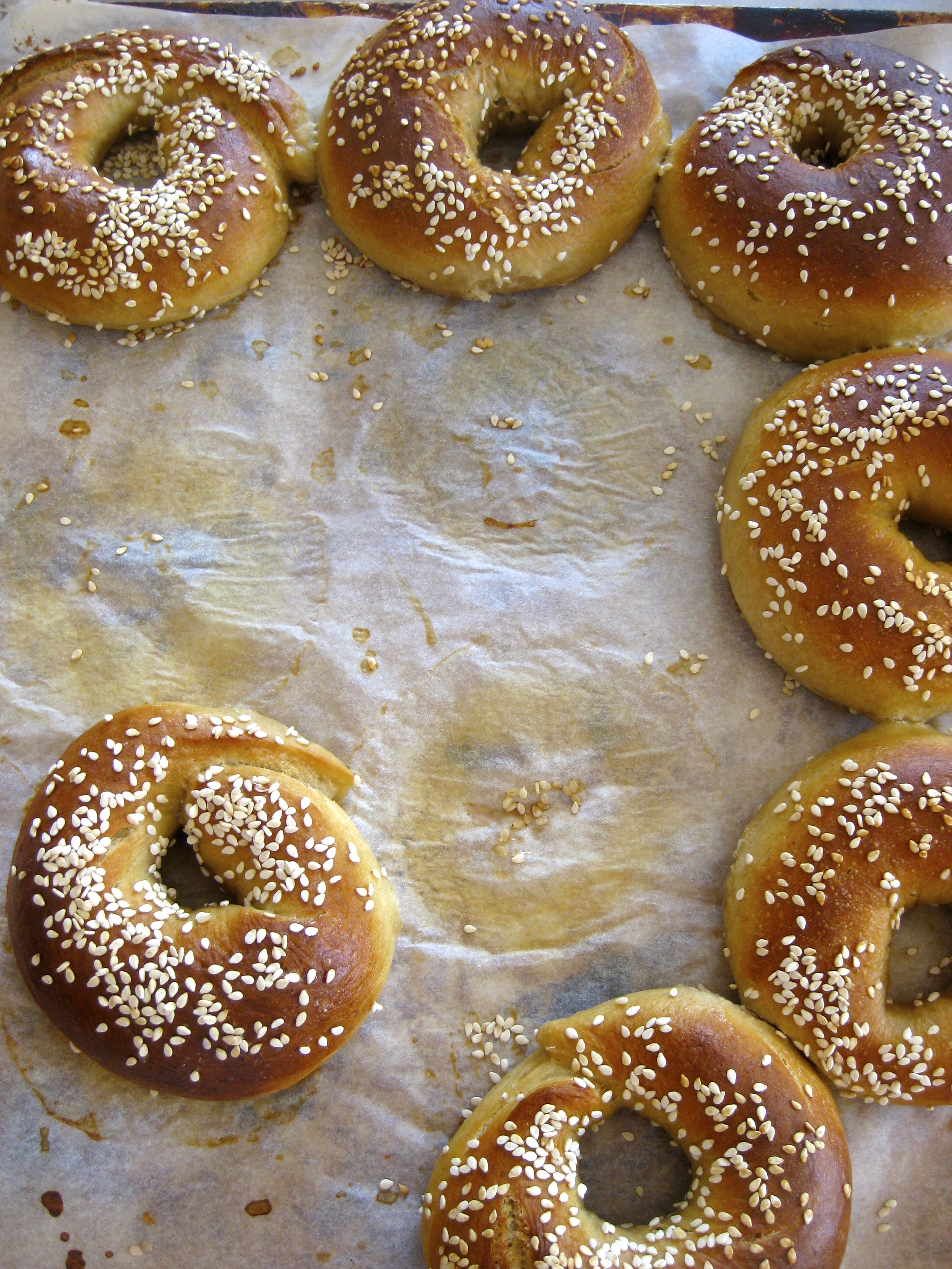 What is the perfect bagel