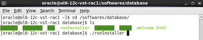 Oracle 12c RAC: Installation on Oracle Linux 6 using VirtualBox – DBA WORLD
