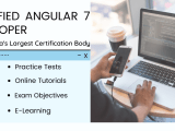 Angular 7 Developer Tutorials Vskills Certification