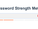 Interactive Password Strength Meter Vue Script