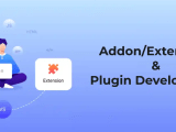 Addon Plugin Development Services W3care