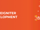 Codeigniter Development Services Codeigniter Developer