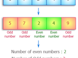 Java Program To Count Negative Array Numbers Solved Max Ag Consider