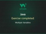 Completed Exercise Java Multiple Variables