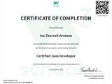 W3schools Java Certificate