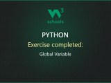 Completed Exercise Python Global Variables
