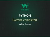 Completed Exercise Python While Loops
