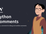 Python Comments