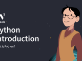 Introduction To Python