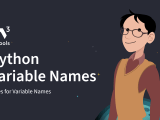 Python Variable Names
